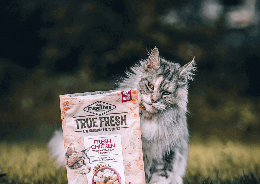 Carnilove True Fresh Cat Food: Made from Fresh Meat only